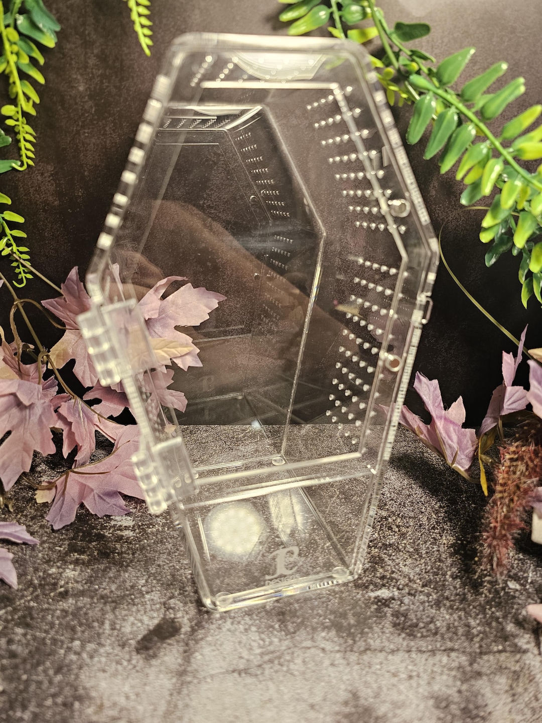 JC Designs Original Acrylic Hinged Front Open Coffin Enclosure Designed ...