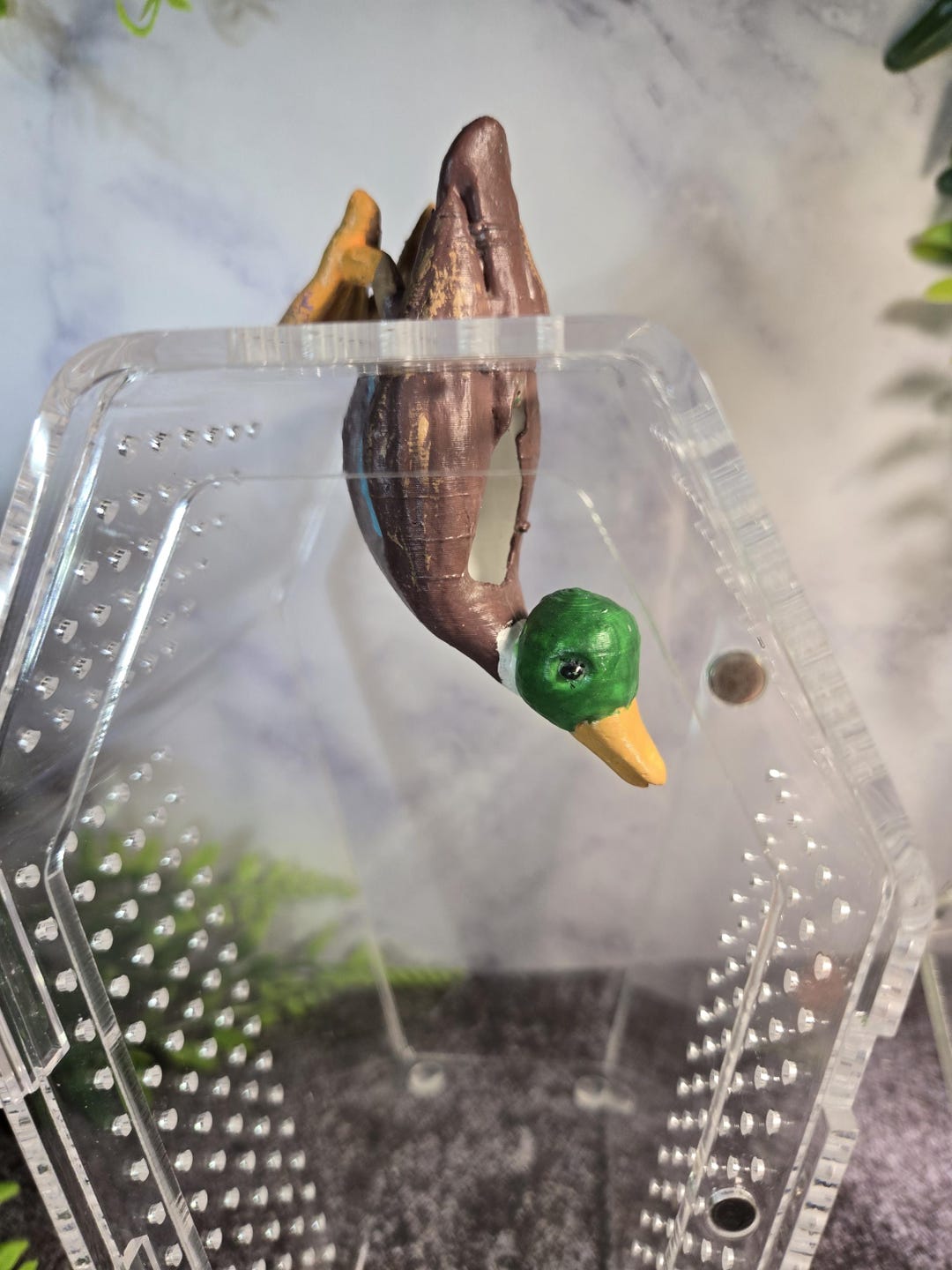 3D Printed Hand-painted Duck Jumping Spider Platform Hide - Etsy