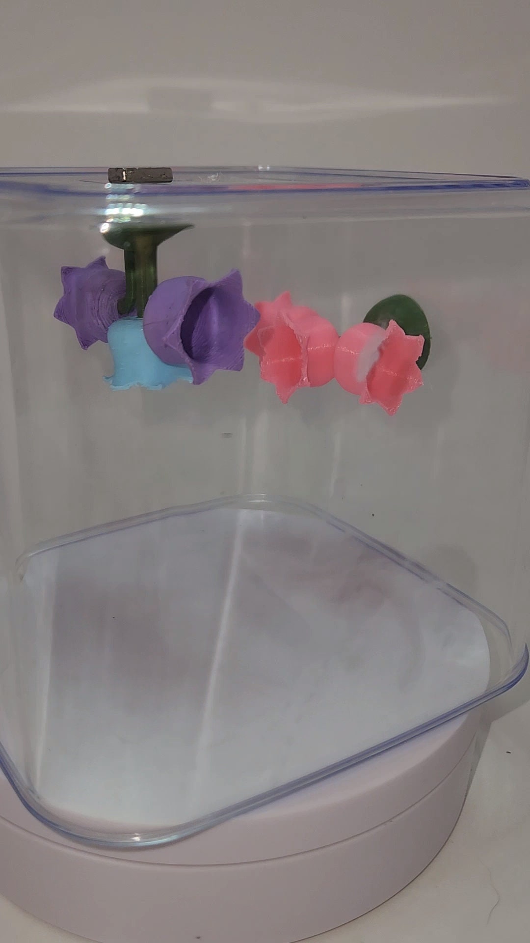 3D Printed Magnetic Jumping Spider Lily Flower Hide Decor - Etsy