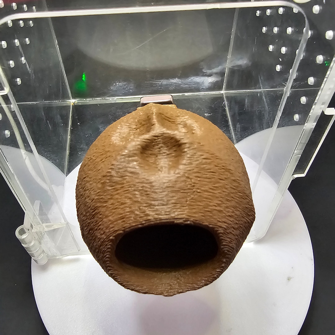 3D Printed Magnetic Coconut Jumping Spider Hide - Etsy