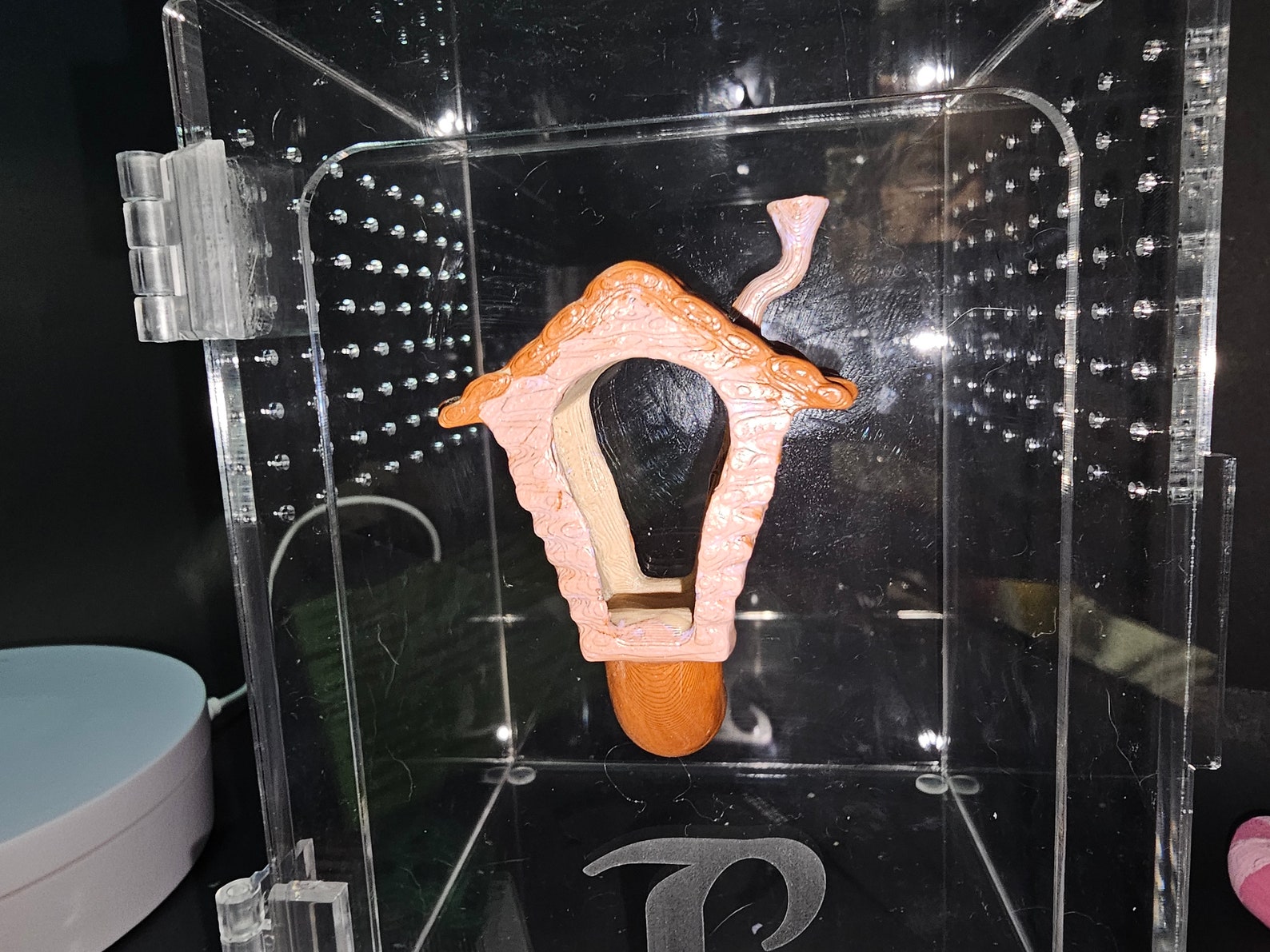 3D Printed and Handpainted Lorax Themed Jumping Spider Enclosure Decor ...
