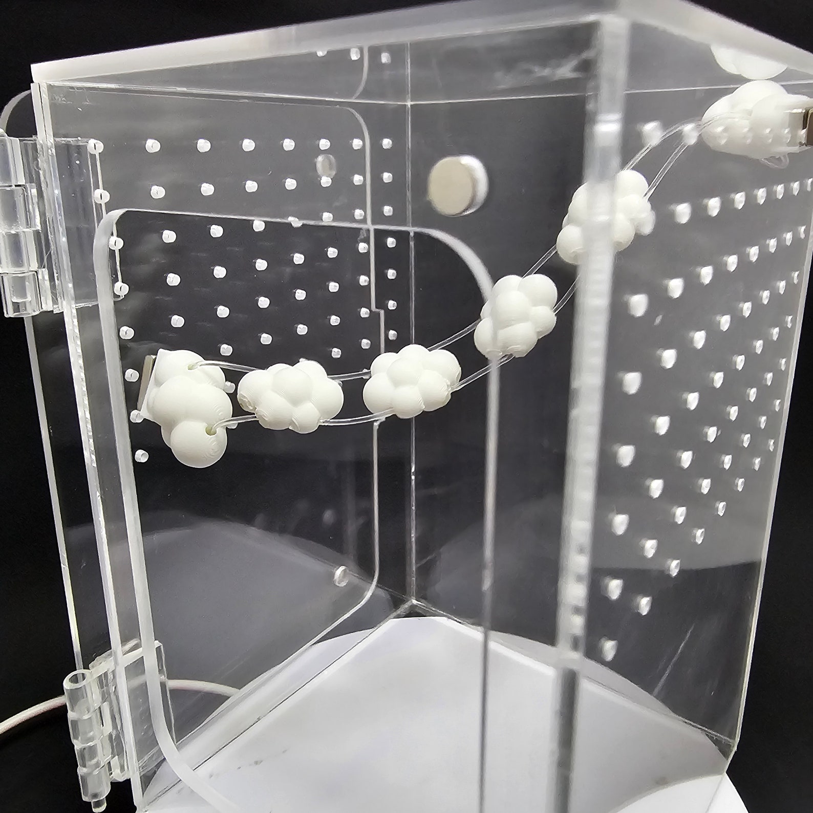 3D Printed Magnetic Cloud Bridge Jumping Spider Enclosure - Etsy