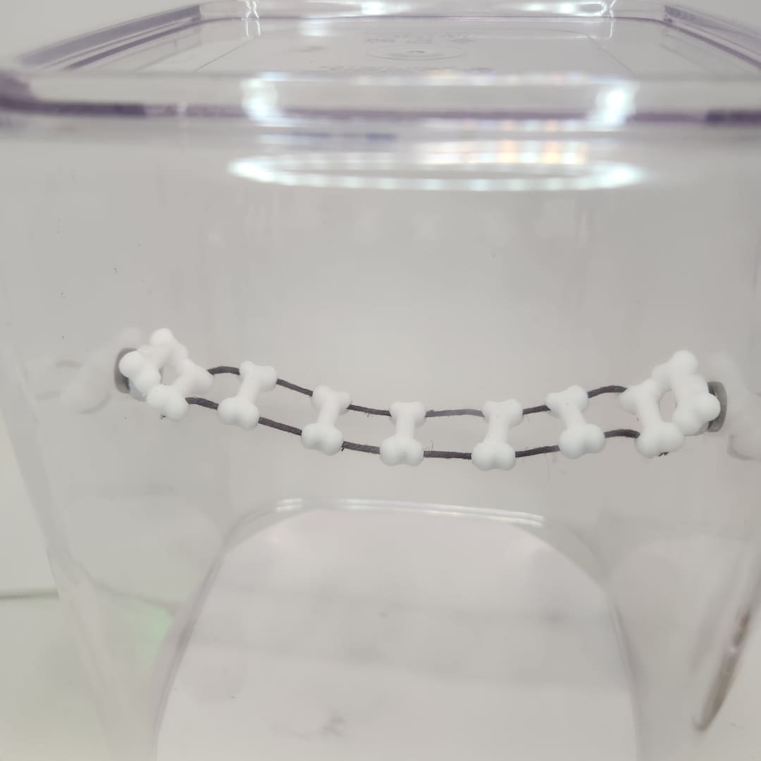 3D Printed Magnetic Bone Bridge Jumping Spider Enclosure, Hide - Etsy