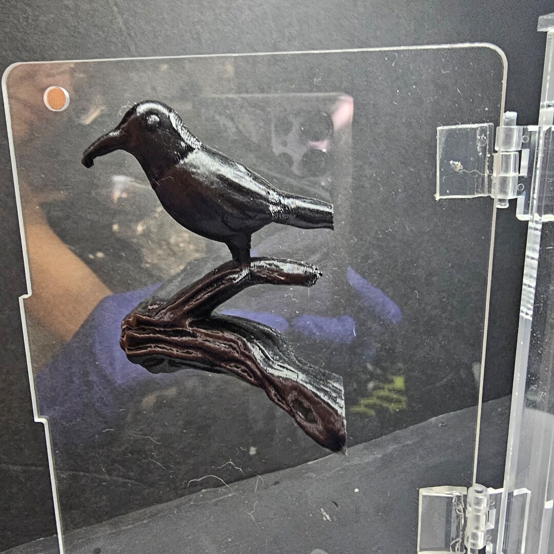 3D Printed Crow on a Branch Jumping Spider Hide Platform - Etsy
