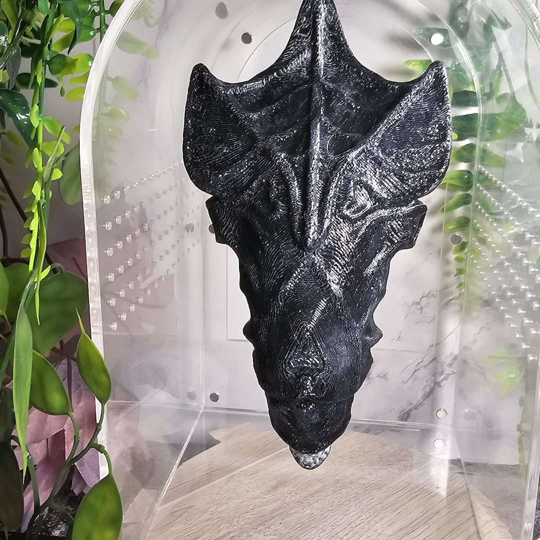 3D Printed Alien Queen Head Jumping Spider Platform Hide - Etsy