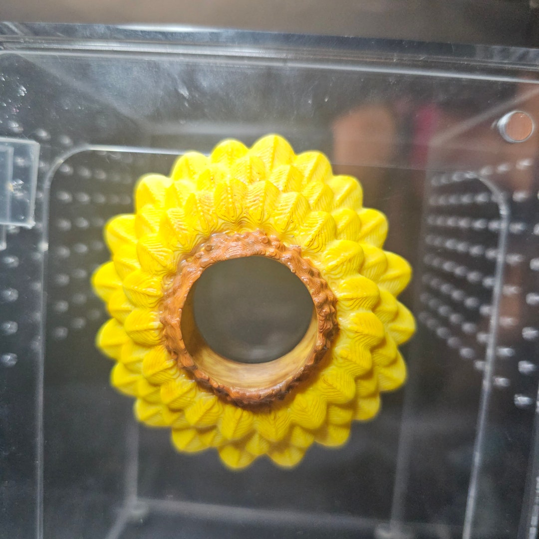 3D Printed Sunflower Jumping Spider Hide Terrarium Decor - Etsy