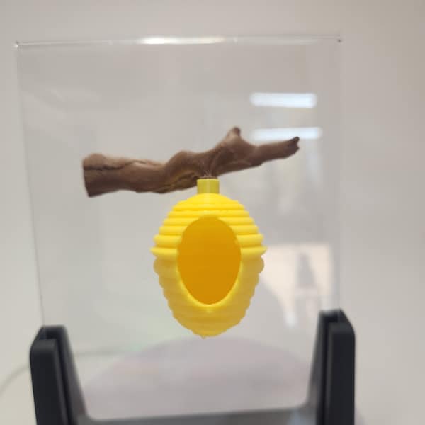 3d Printed Jumping Spider Hides - Etsy