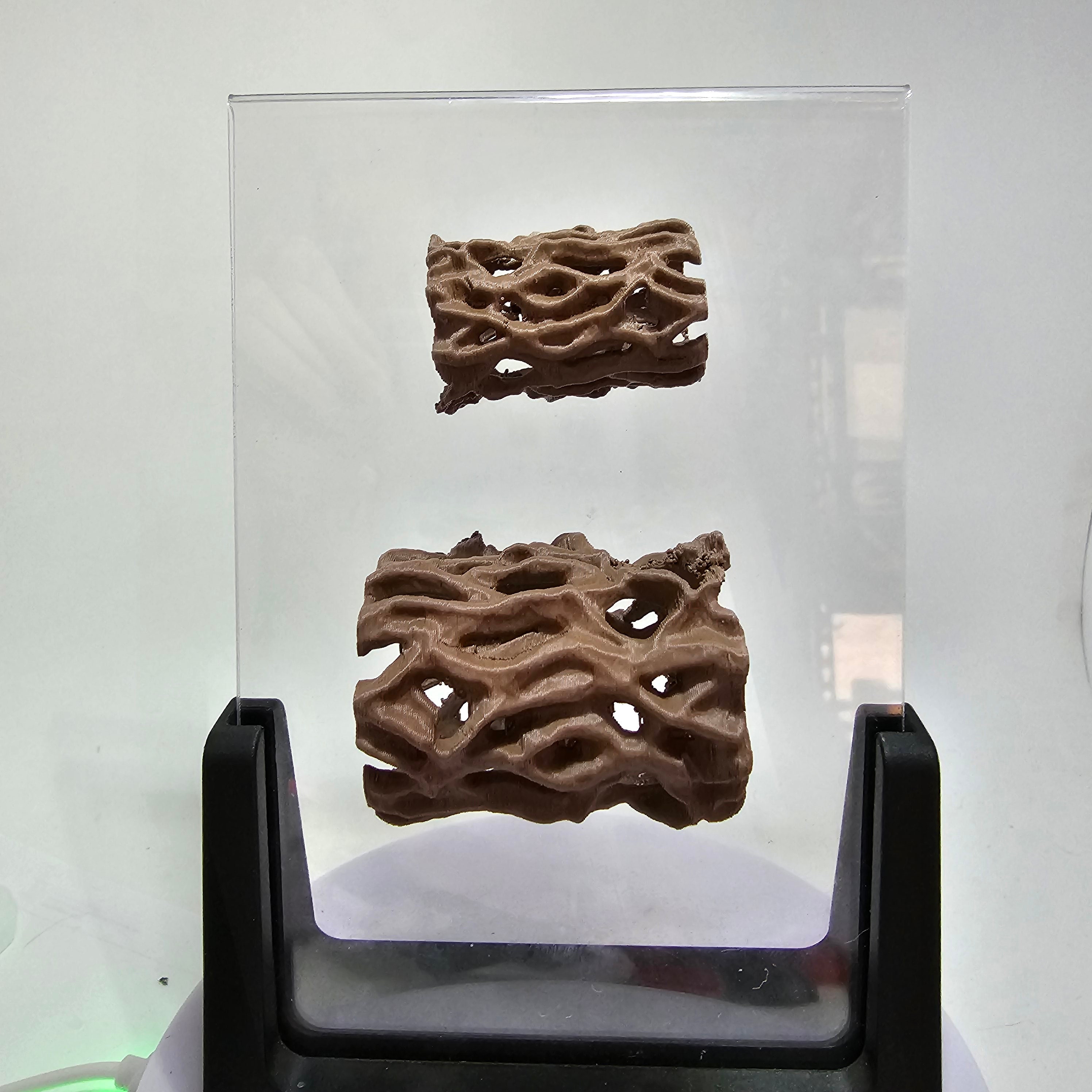 3D Printed Hollow Log Platform and Hide Jumping Spider Decor - Etsy