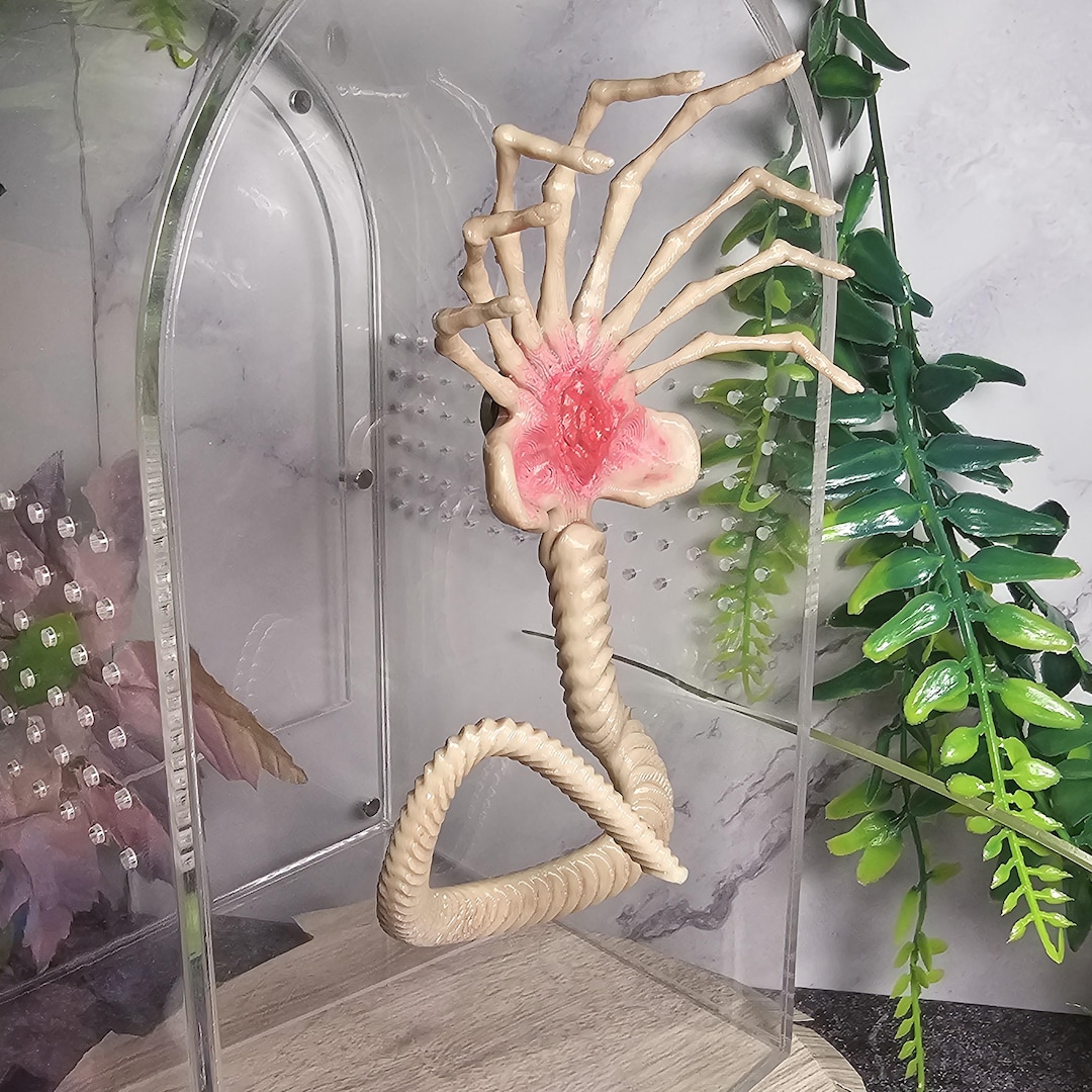 3D Printed Facehugger Jumping Spider Platform Hide - Etsy