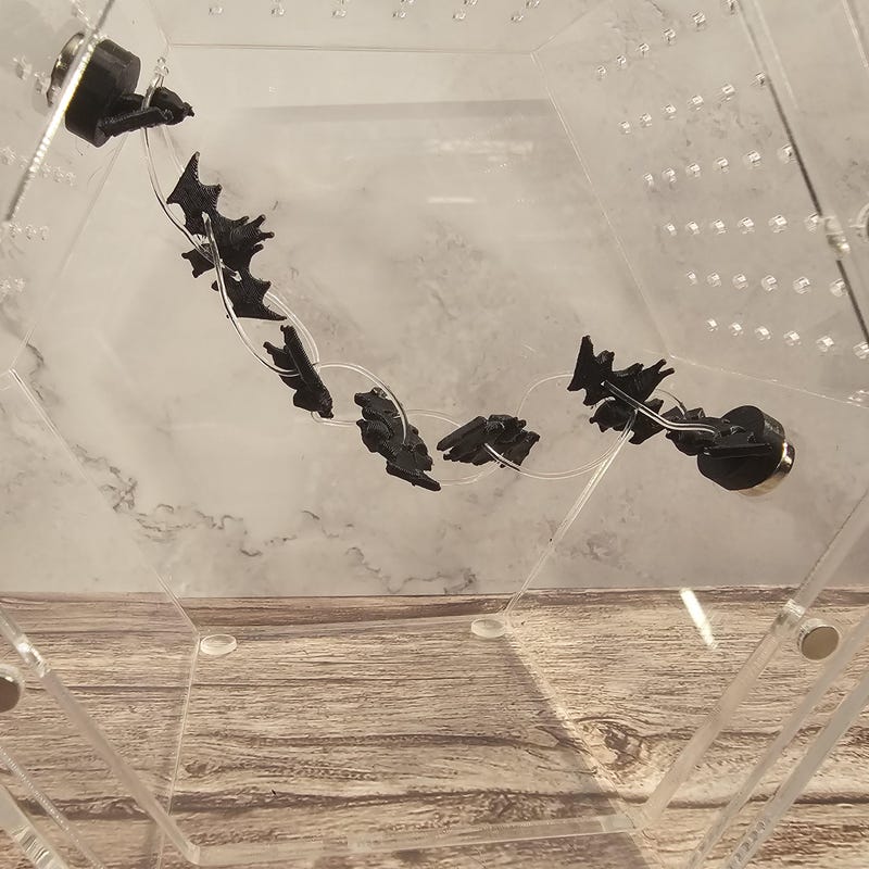 Jumping Spider Hides Black - Etsy