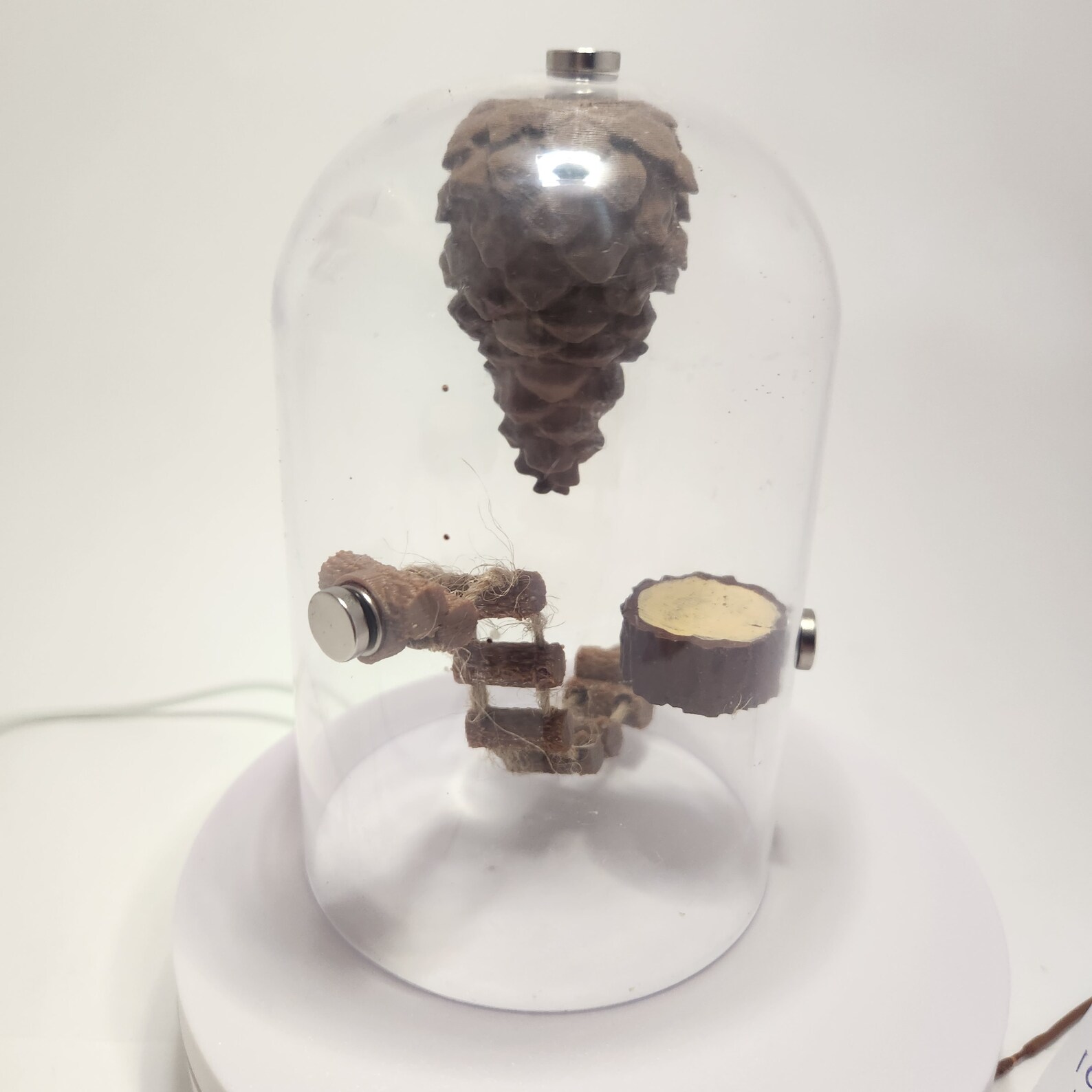 3D Printed Magnetic Pinecone Spider Hide - Etsy