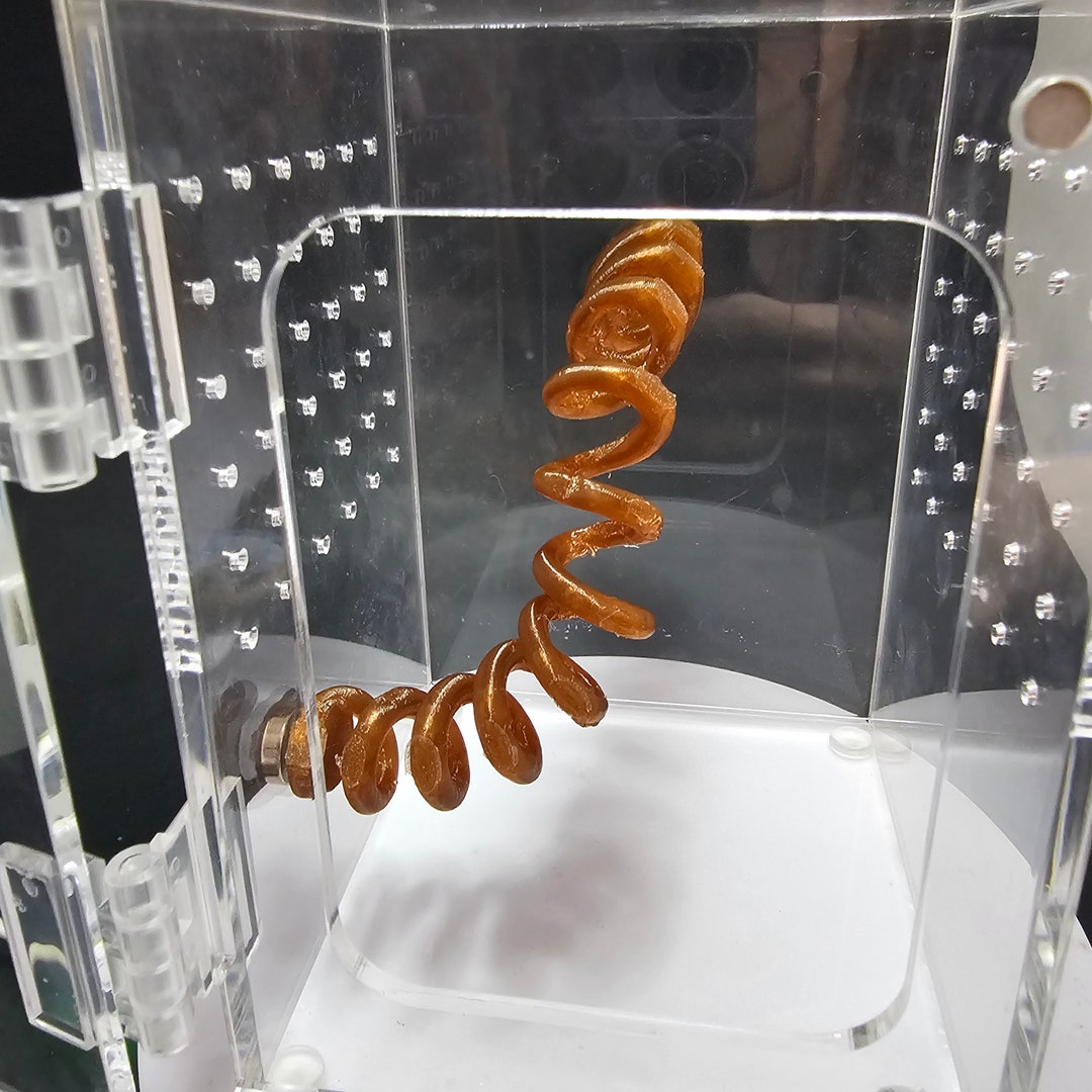 3D Printed Magnetic Spiral Bridge/vine Flexible Stretchy Jumping Spider ...