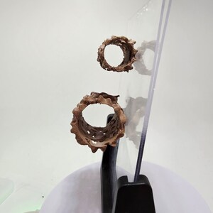 3D Printed Hollow Log Platform and Hide Jumping Spider Decor - Etsy