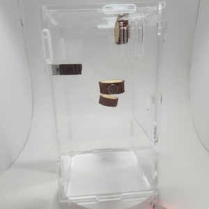 3D Printed Magnetic Spider Platforms Set of 3, Terrarium Platforms - Etsy