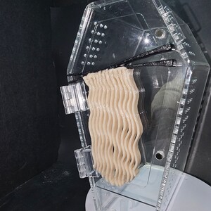 3D Printed Chopstick & Ramen Noodle Jumping Spider Terrarium Decor ...