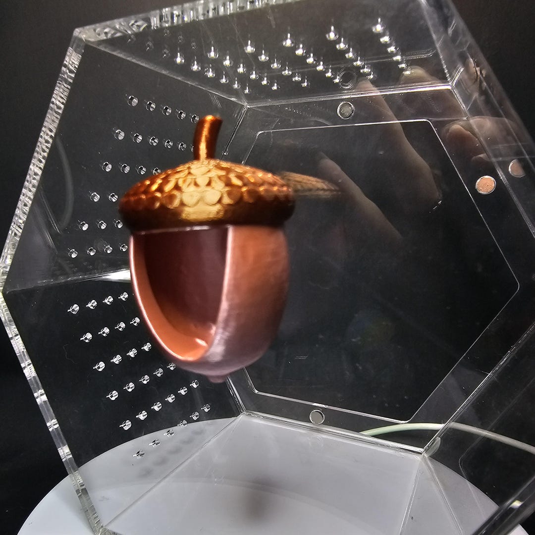 3D Printed Magnetic Acorn Spider Hide- Upgraded Sling Acorn Magnets! - Etsy