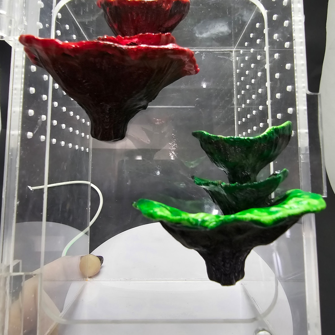 3D Printed Magnetic Ghost Fungus Shelf Spider Decor- Hand-painted and ...