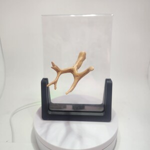 3D Printed Magnetic Tree Branch Jumping Spider Decor- Vertical- Small ...