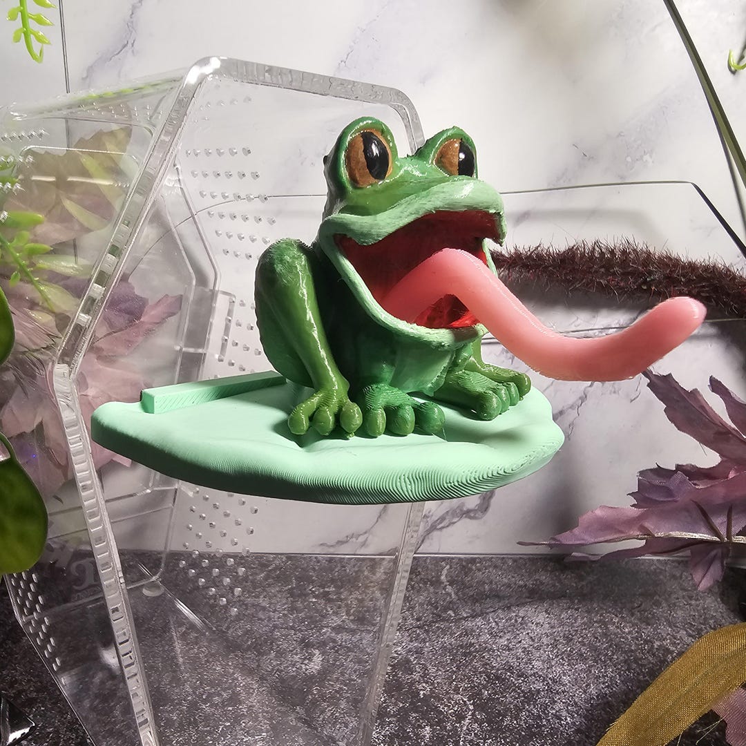 3D Printed Magnetic Frog Jumping Spider Hide Sitting on a Lilypad - Etsy