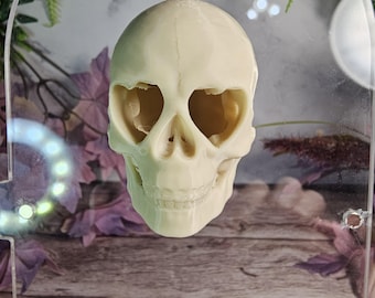 Magnetic Crow Skull Hide - Etsy