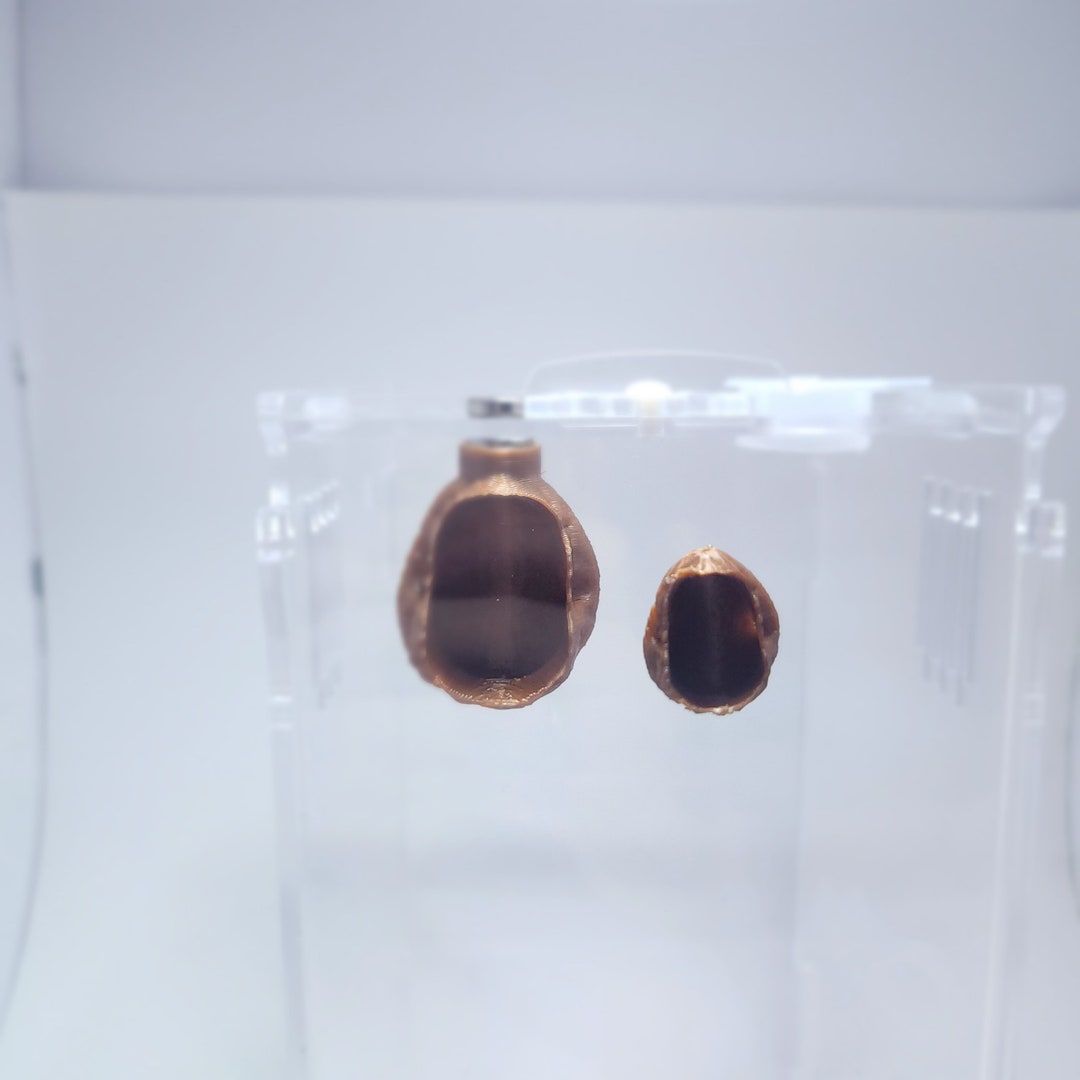 3D Printed Magnetic Walnut Spider Hide - Etsy