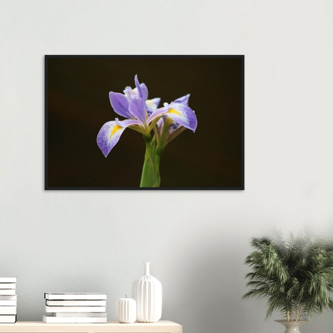 Iris Flower Wall Decor Photo Nature Bedroom - Etsy