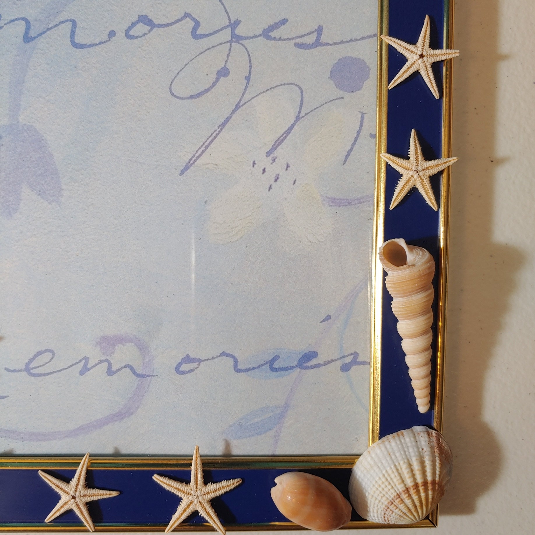 Starfish and Shells on Picture Frame - Etsy