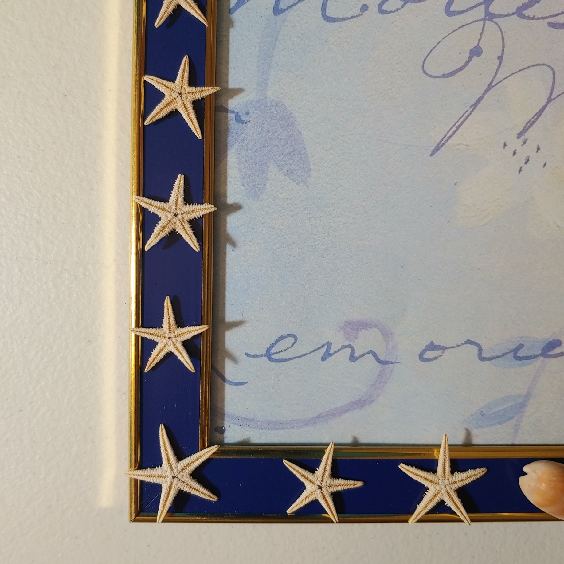 Starfish and Shells on Picture Frame - Etsy
