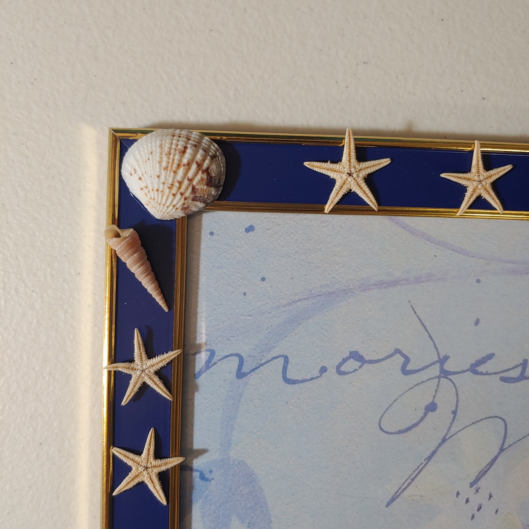 Starfish and Shells on Picture Frame - Etsy