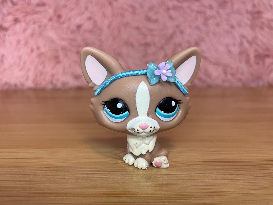 Littlest Pet Shop Blythe Corgi 1864 - Etsy