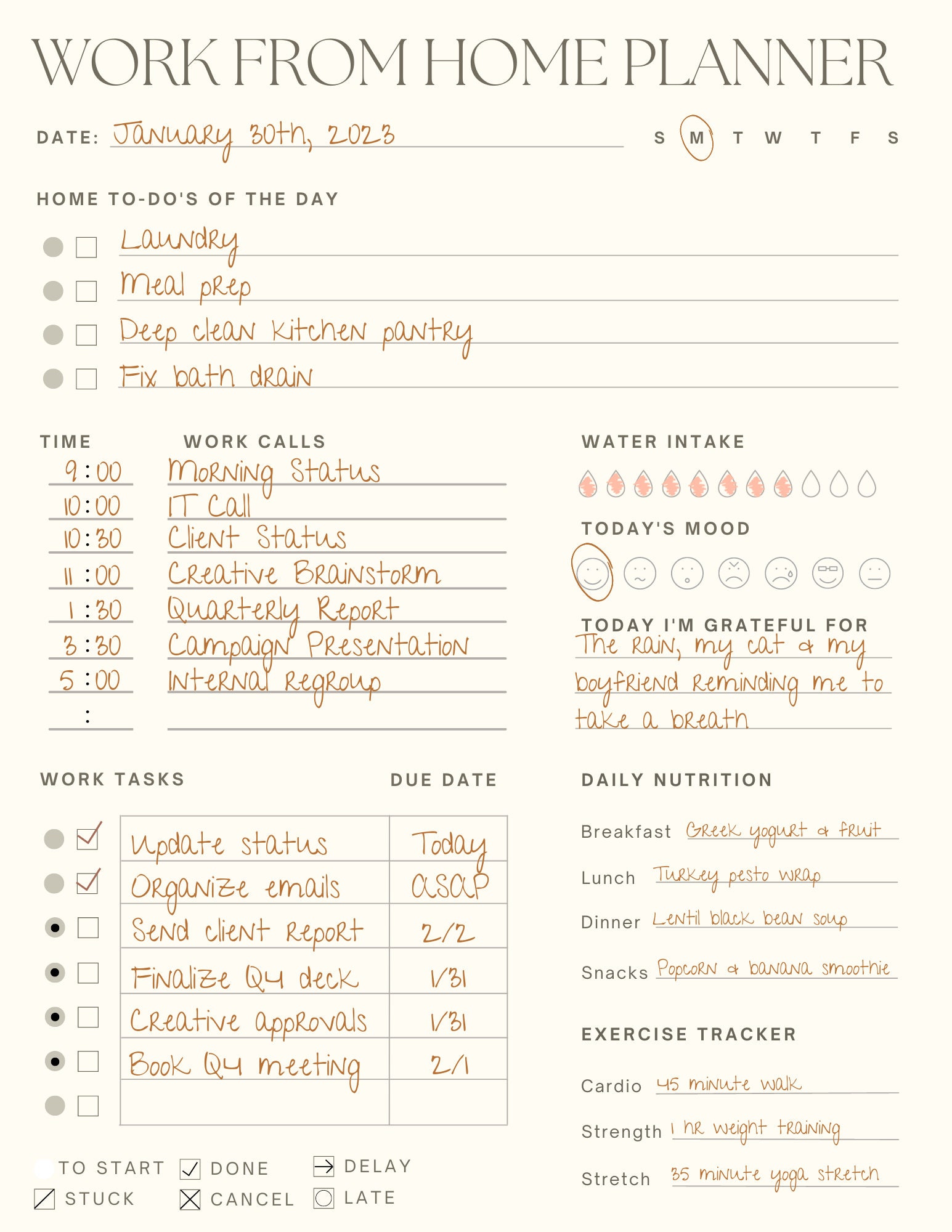 Daily Work From Home Planner | Spreadsheet Planner | Daily Planner ...