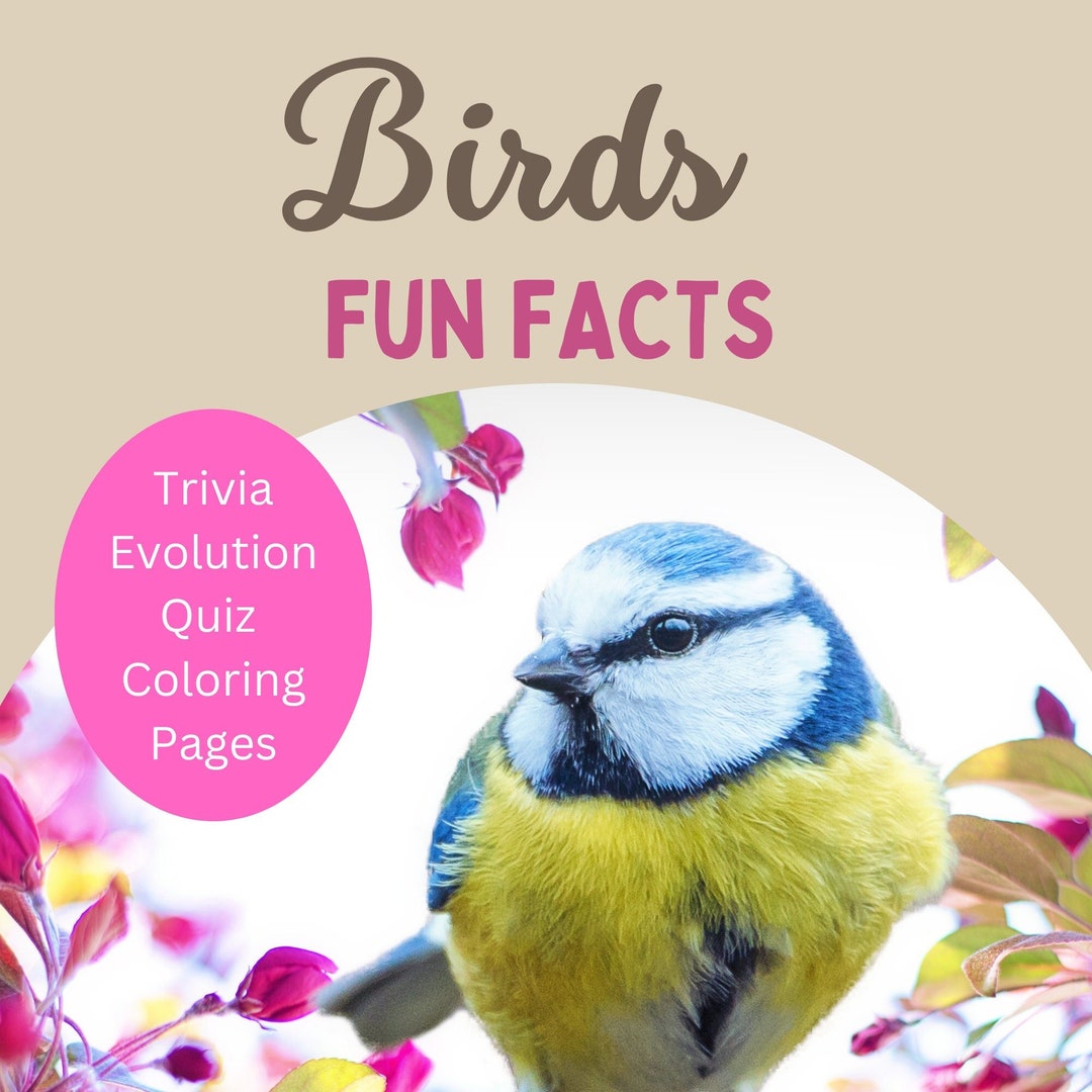 Birds Fun Facts | Digital Book | Educational Book - Etsy Canada
