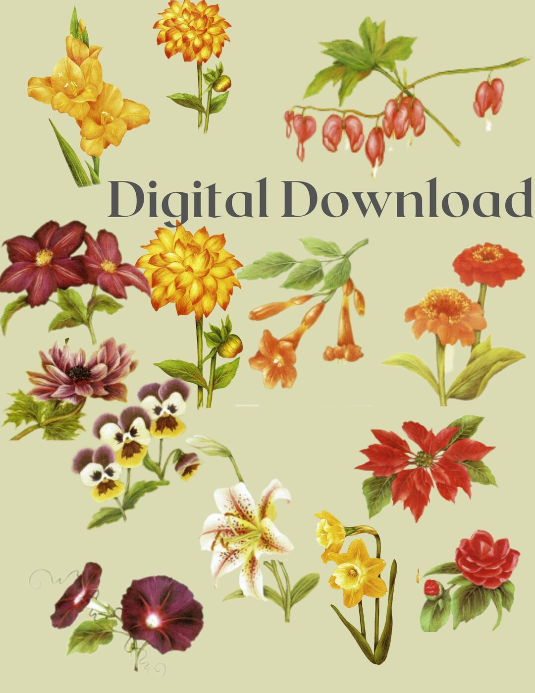 Digital Download: 50 Different Illustrated Flowers - Etsy