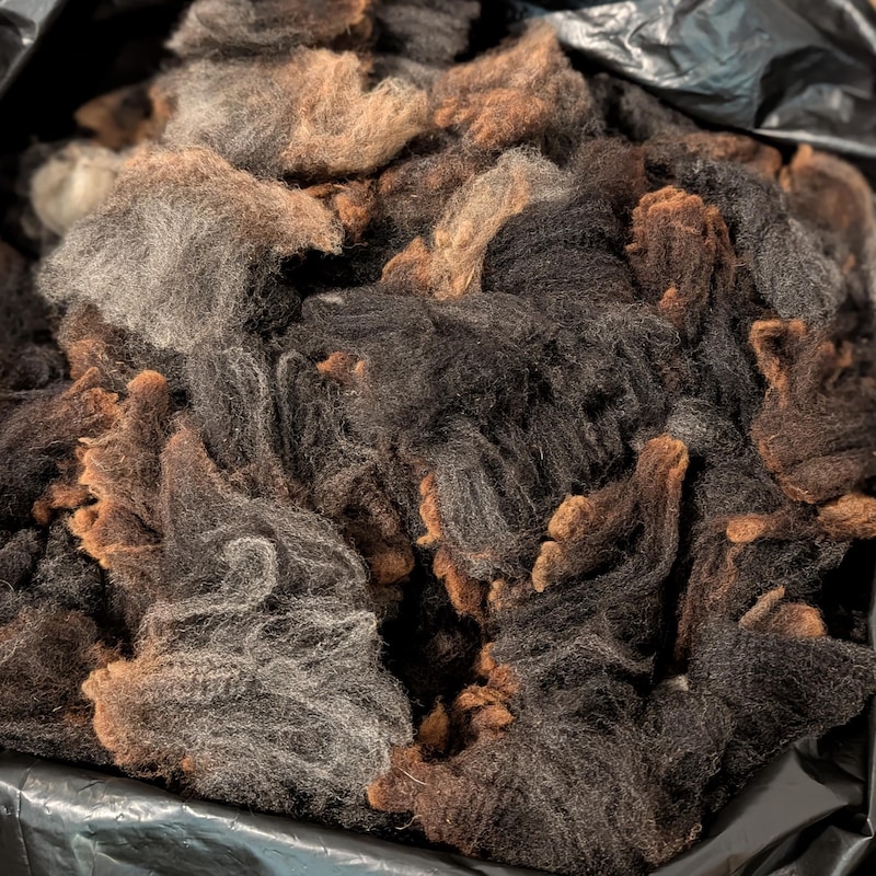 Raw Fleece - Etsy New Zealand