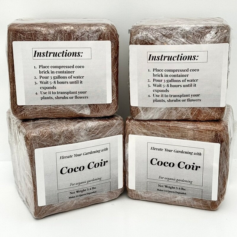 Jumping Spider Enclosure - Etsy