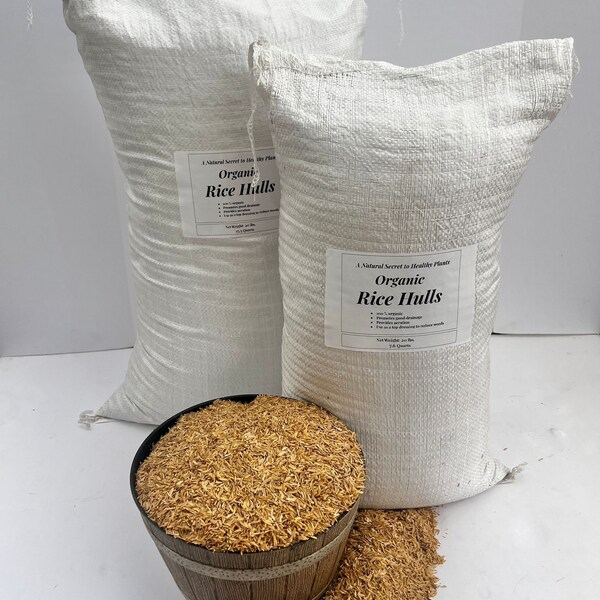 Rice Husk - Etsy