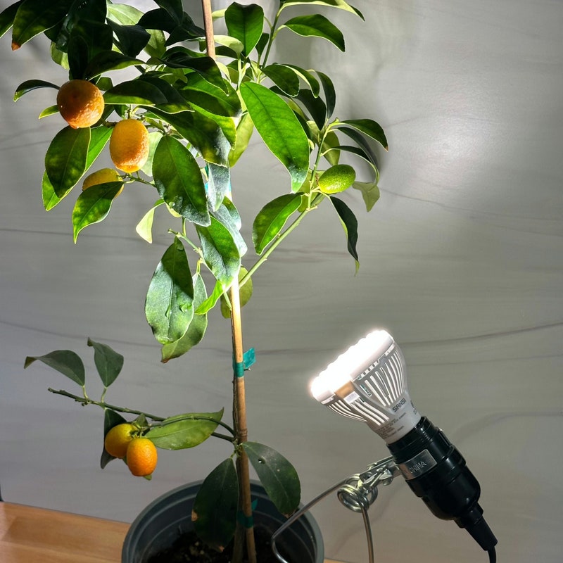 Plant Grow Light Clip On - Etsy