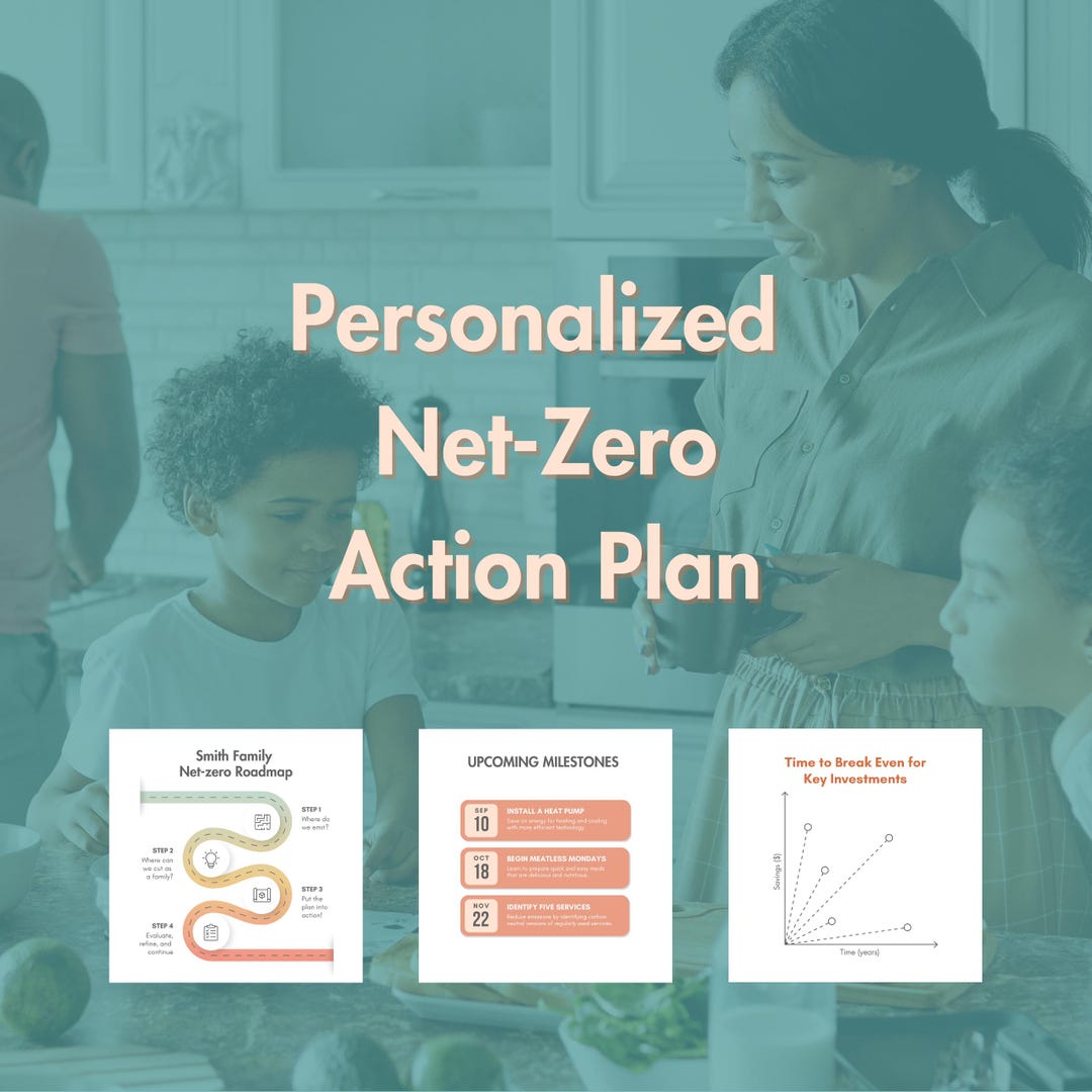Personalized Net-zero Action Plan | Custom Roadmap & Support for a ...