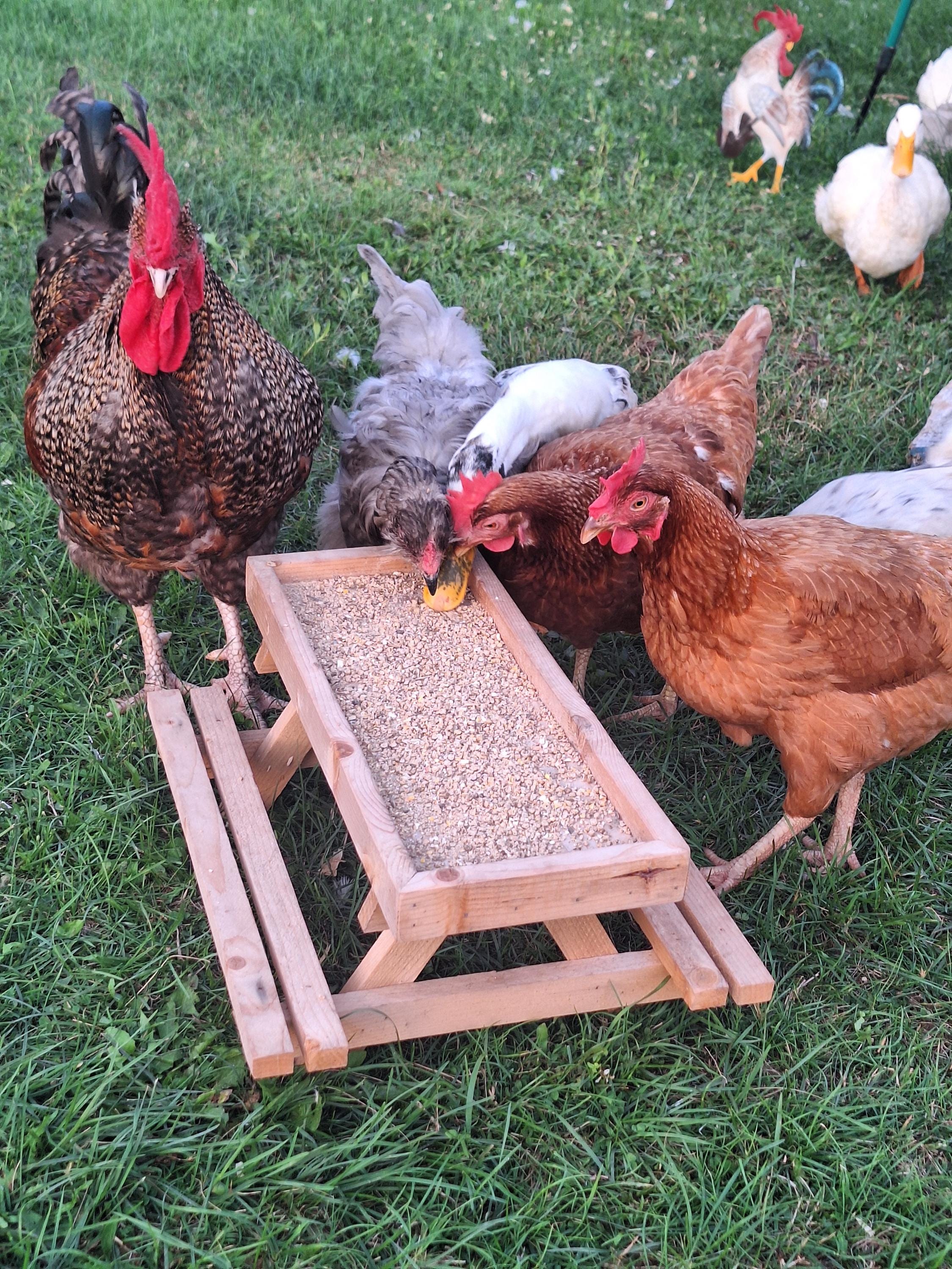 Chicknic Table - Etsy