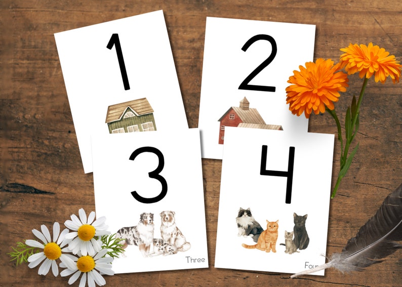 Printable Homestead Number Flash Cards & Posters Nature Based Reggio ...
