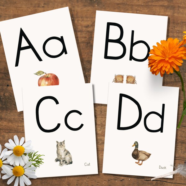 Reggio Emilia Alphabet Cards - Etsy