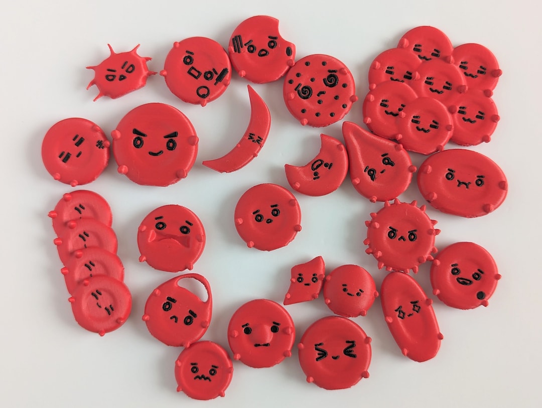SET Red Blood Cell Morphology Magnets- Cute Blood Cells/med Lab ...