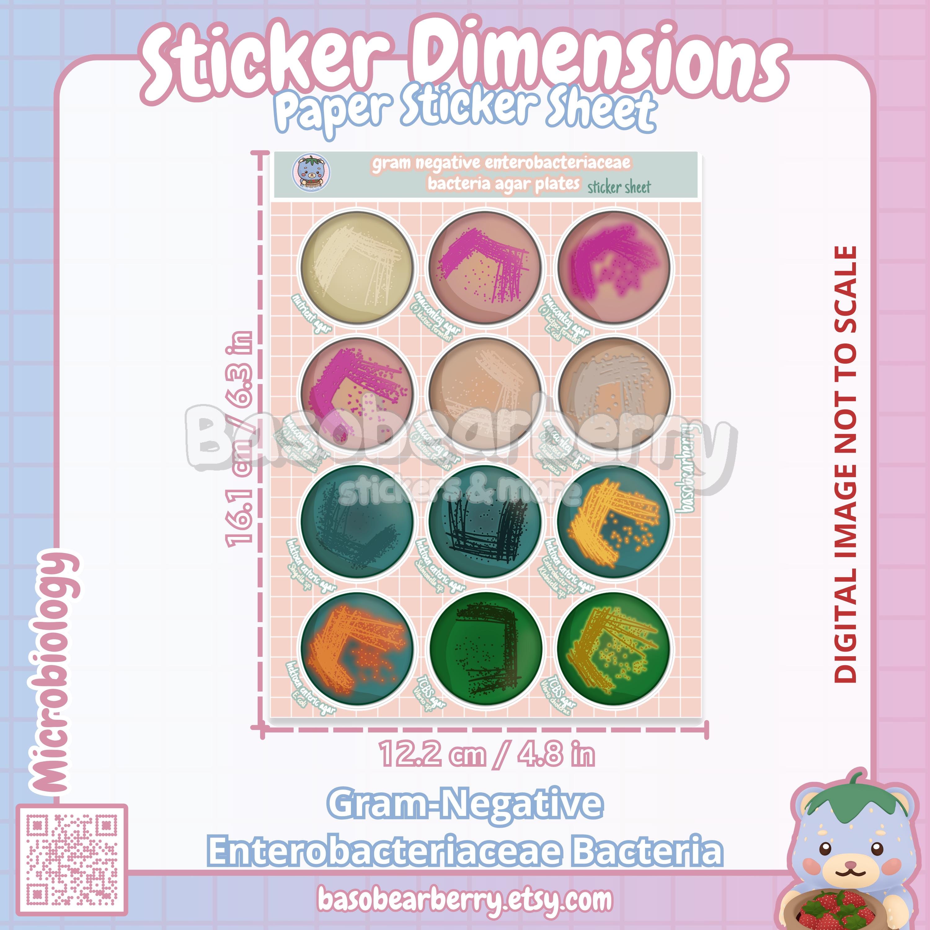 Gram Negative Enterobacteriaceae Bacteria Agar Sticker Sheet - Med Lab ...