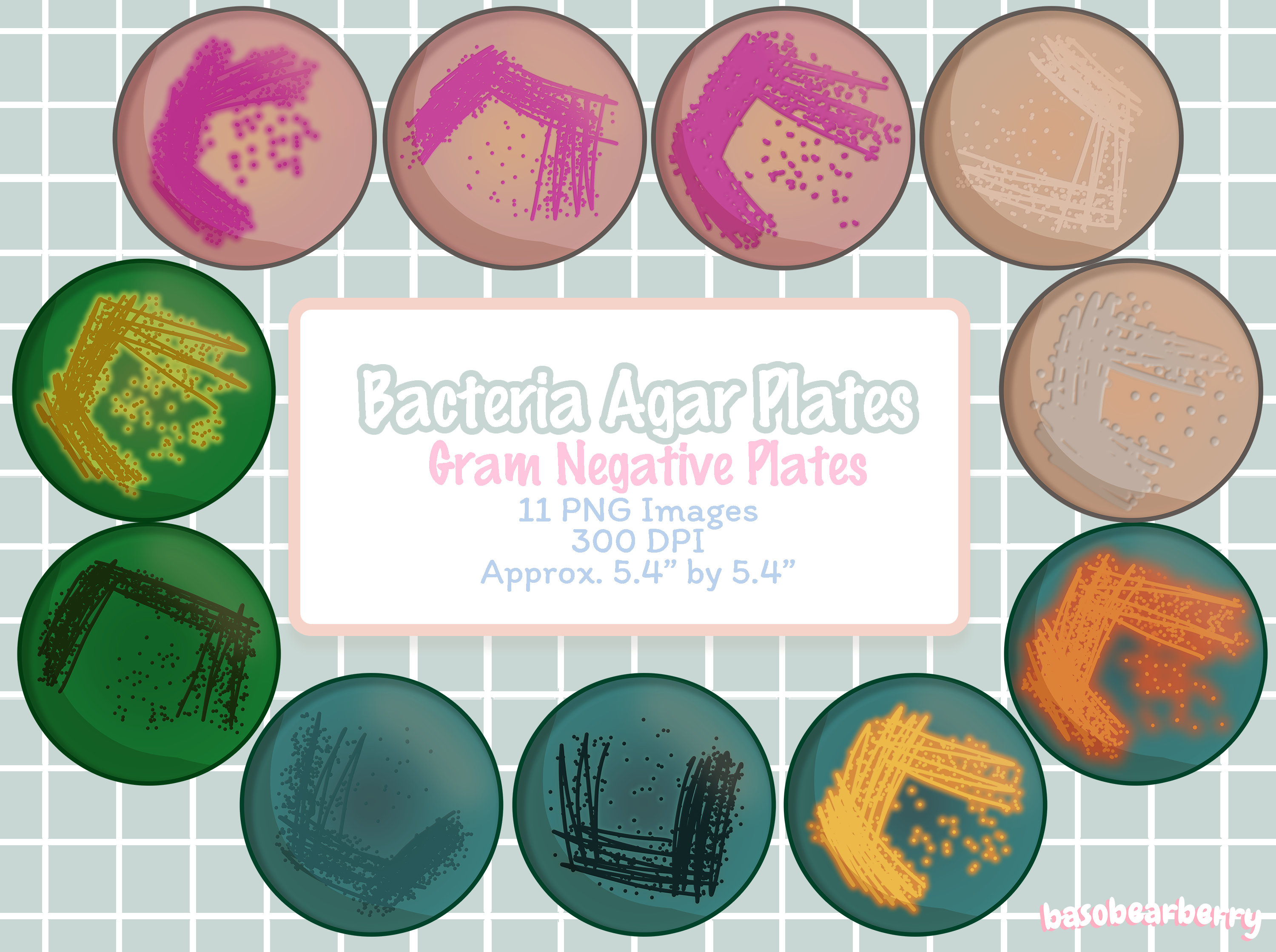 Gram Negative Enterobacteriaceae Bacteria Agar Clipart Med Lab ...
