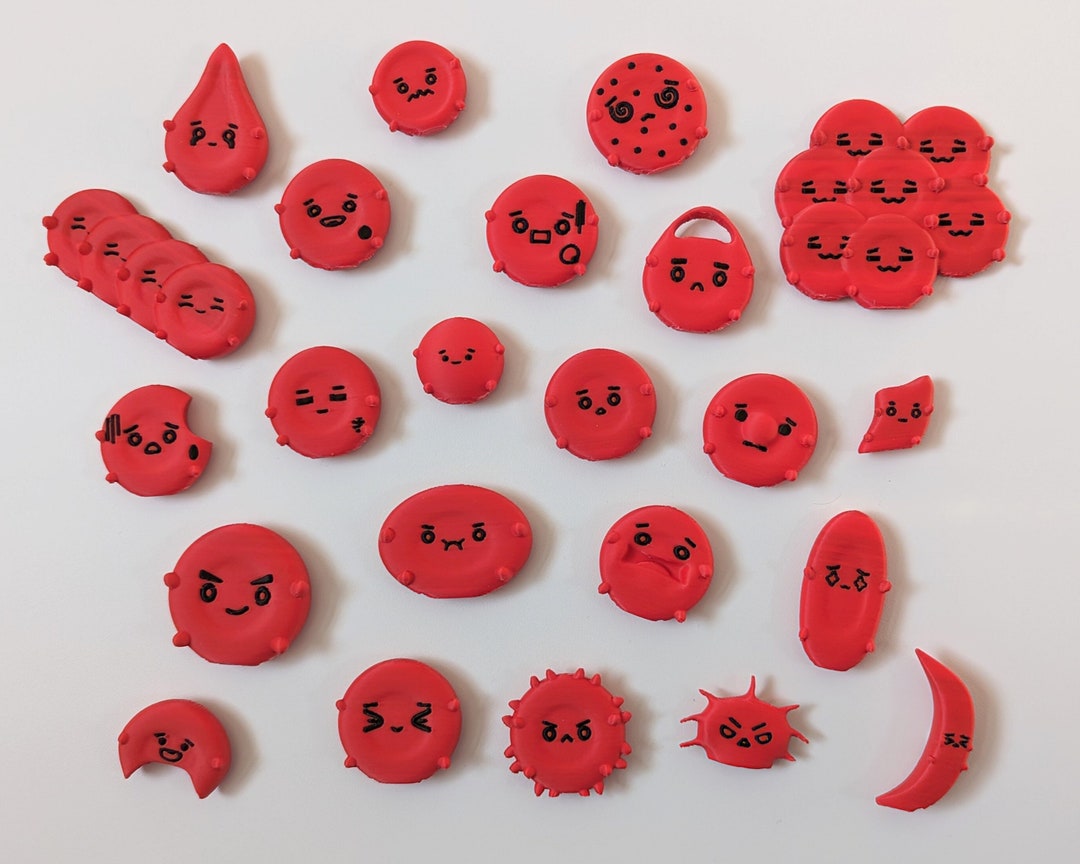 Red Blood Cell Morphology Magnets Cute Blood Cells/med Lab/laboratory ...