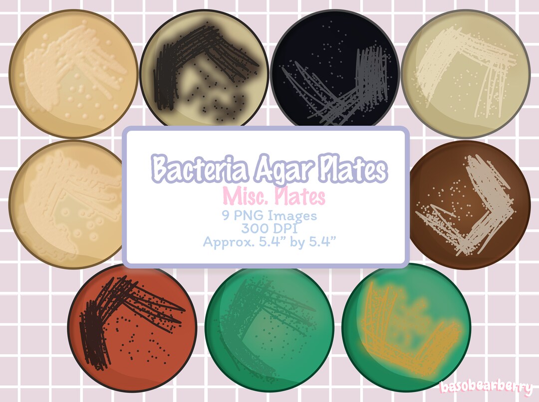 More Bacteria Agar Clipart - Med Lab/laboratory/microbiology/science ...