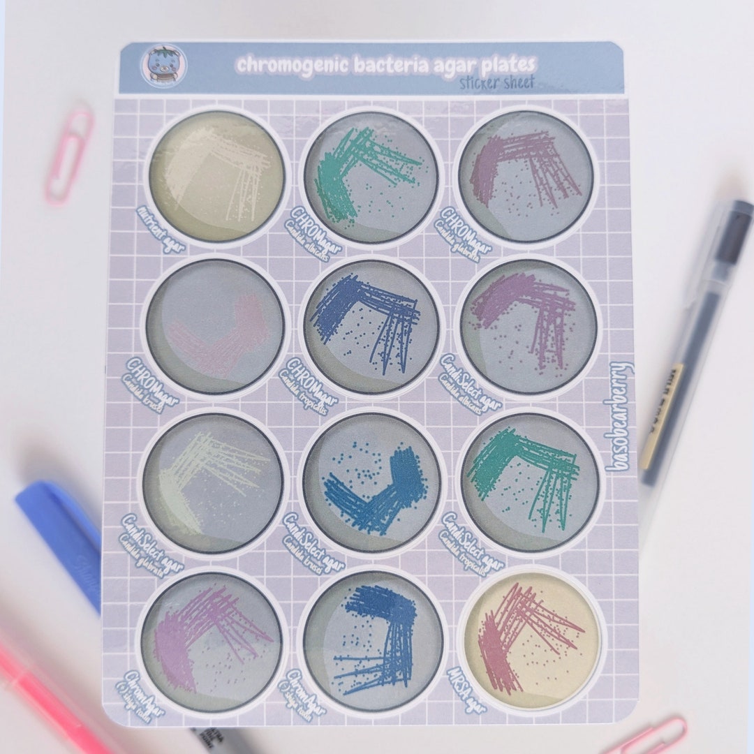 Chromogenic Bacteria Agar Sticker Sheet - Physiology/med Lab/laboratory ...