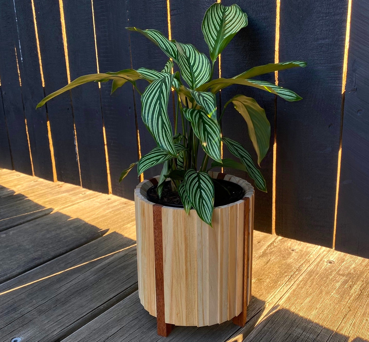 Wood Plant Stand 130mm for indoor house plants — Cubular