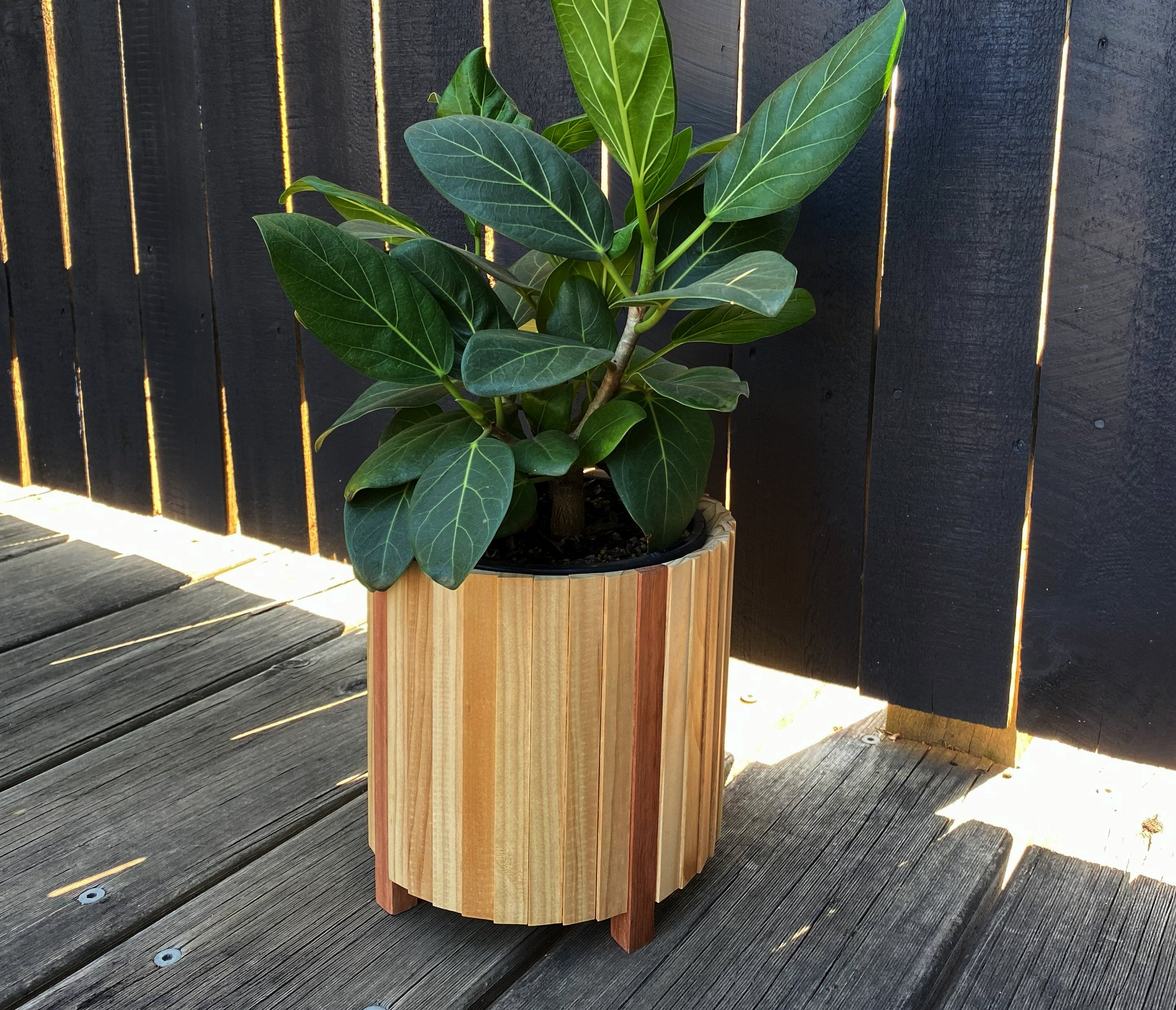 Wood Plant Stand 180mm for indoor house plants — Cubular