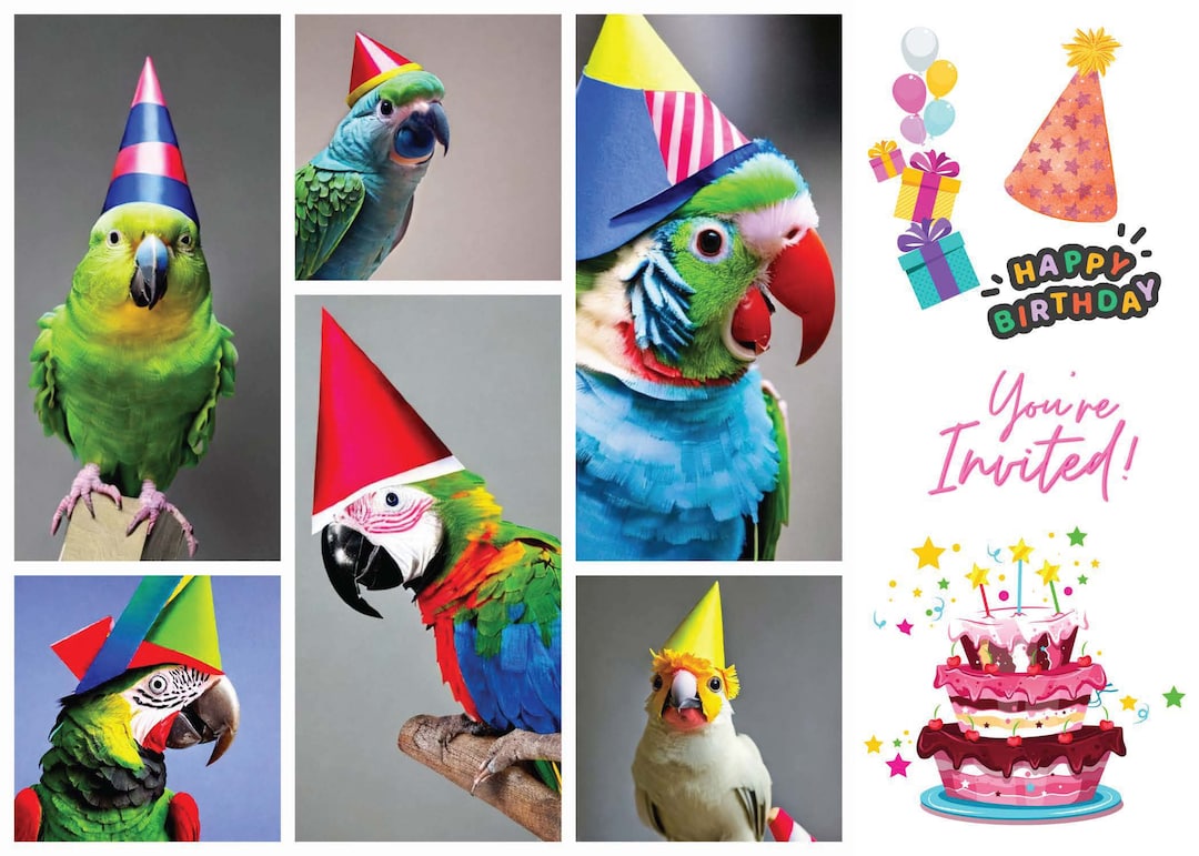 Instant Download Birthday Birds Invite for Kids and Adults - Etsy